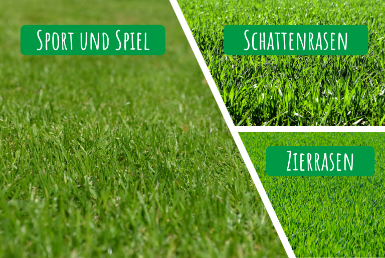 Rollrasen Spiel Und Sport